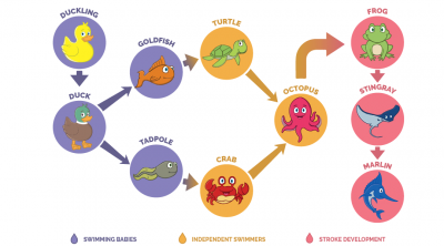 Swim Level Progression Chart - JUMP! Swim Schools