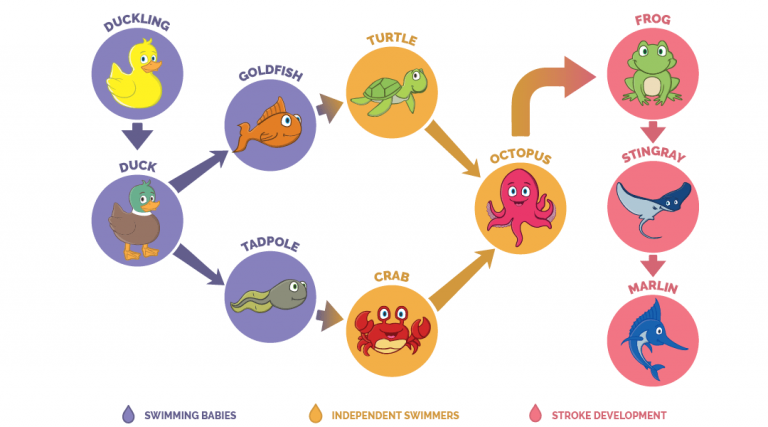 Swim Level Progression Chart - JUMP! Swim Schools